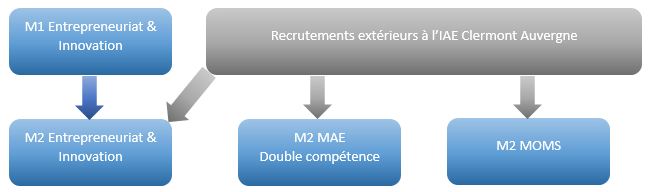 Master Management et administration des entreprises - Université ...